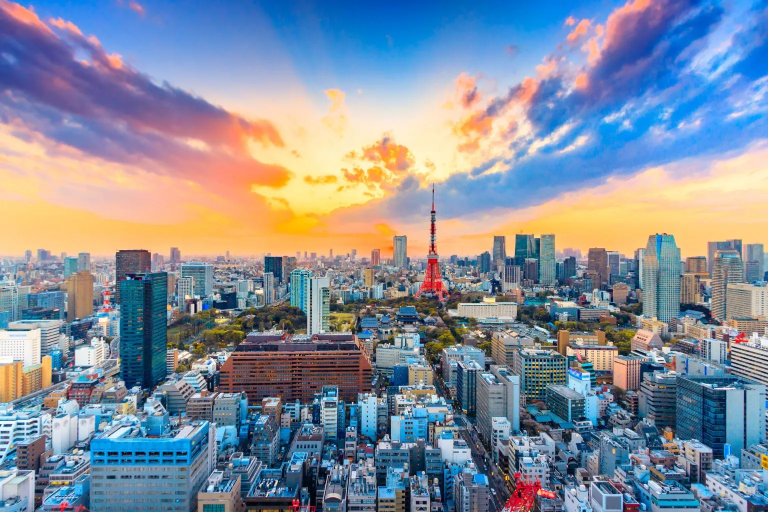 METI AI and Tech Talent Internship in Japan 2025 (Fully Funded) - Internships